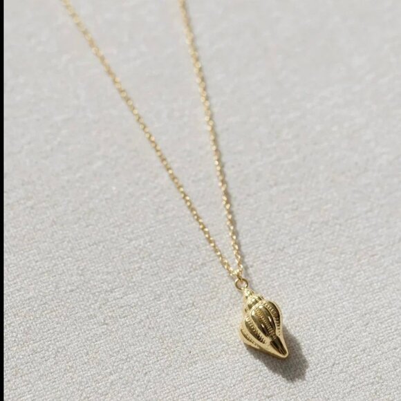 Coast + Cove | Jewelry | Coast Cove Gold Conch Shell Necklace | Poshmark